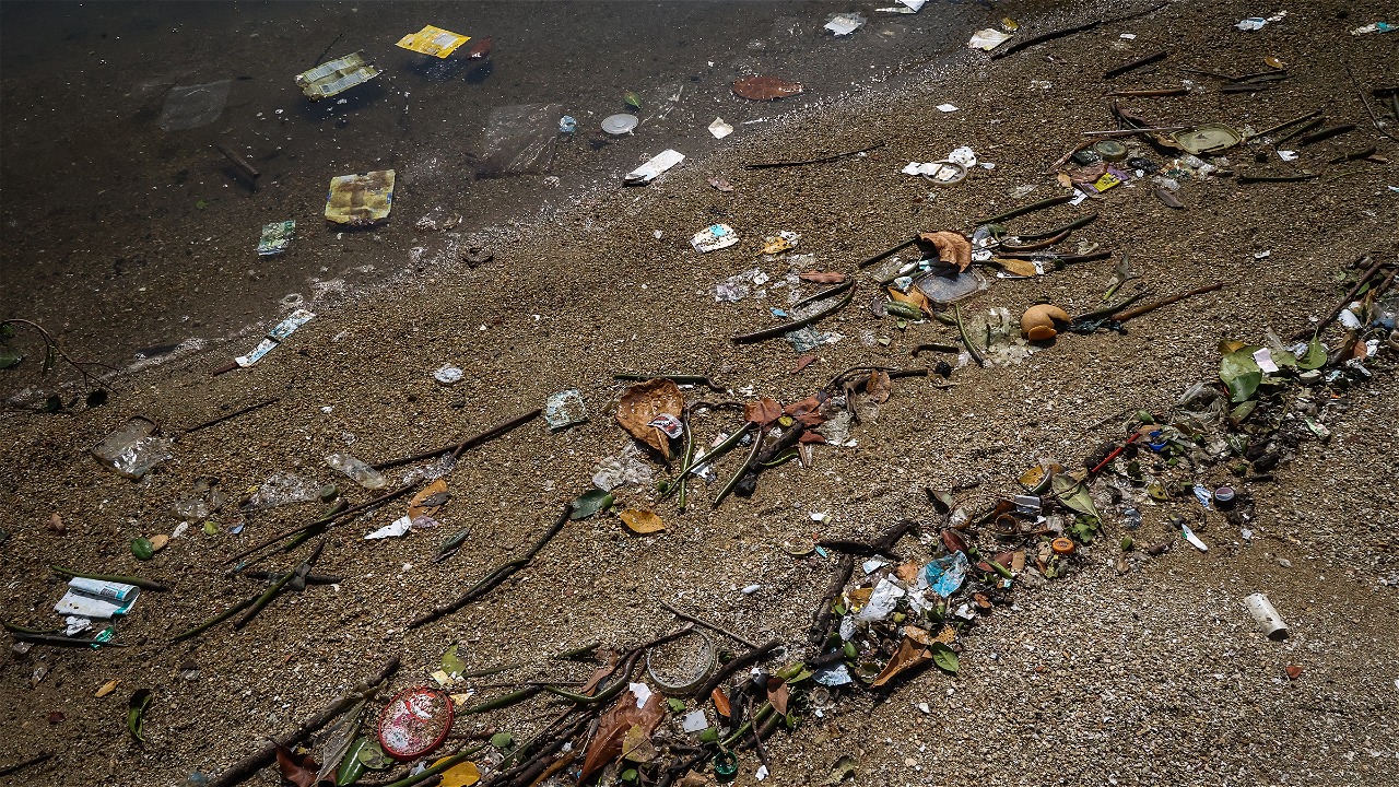 MEMBANGUN JARINGAN CITIZEN SCIENCE UNTUK KOLABORASI TANGANI SAMPAH PLASTIK LAUTAN INDONESIA | wwf.id